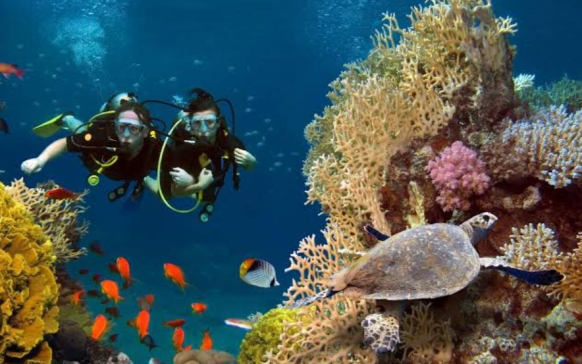 Discover Scuba Diving - Mooka Tours